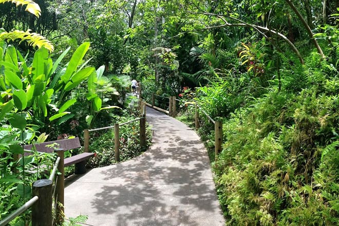 hawaii tropical botanical garden