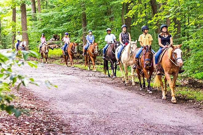 Hilltop Riding Stable