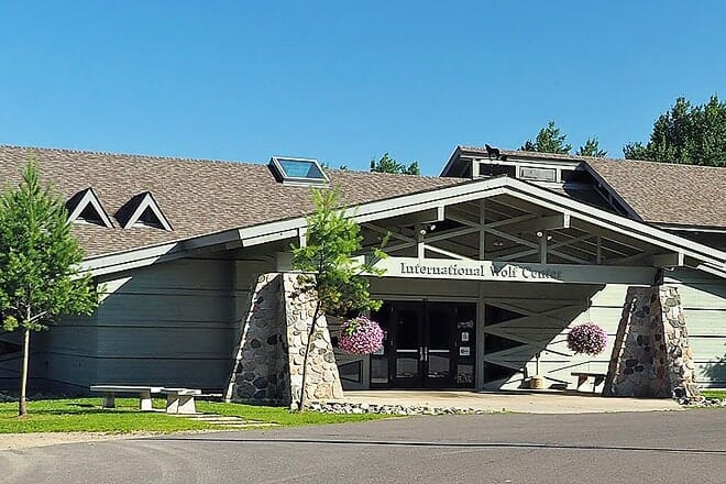 International Wolf Center &mdash; Ely