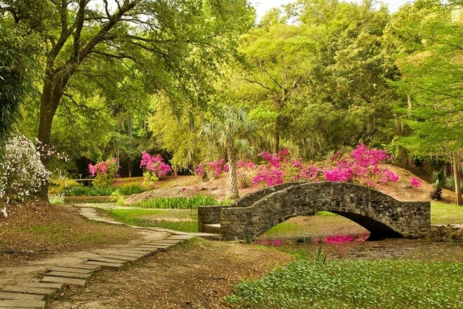 jungle gardens &mdash; avery island