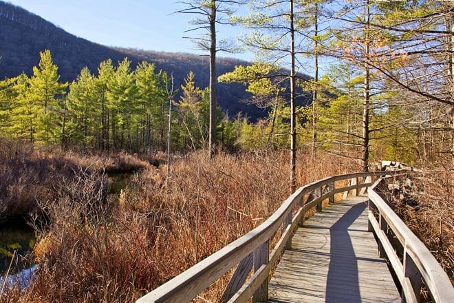 labrador hollow boardwalk &mdash; tully
