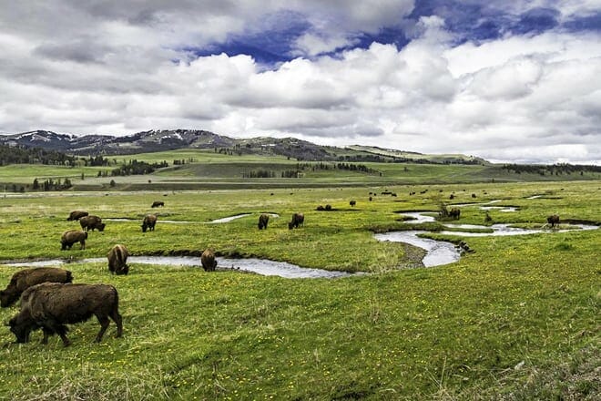 lamar valley