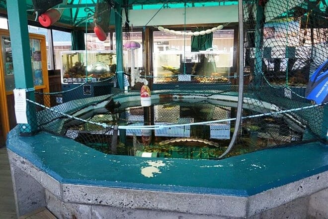 marine life center