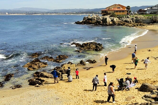 monterey