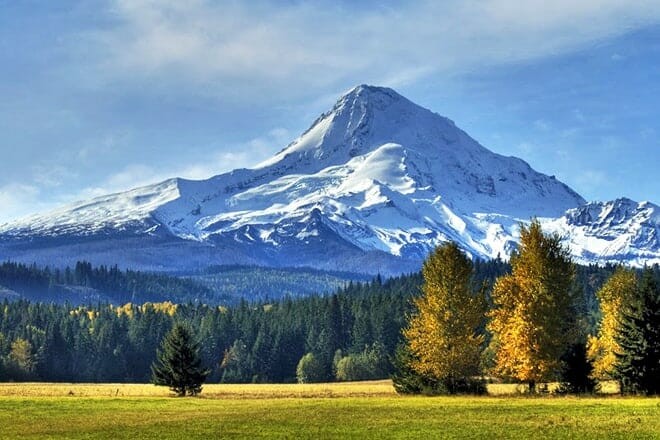mount hood national forest