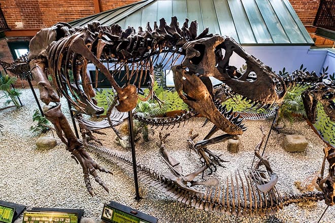 museum of world treasures