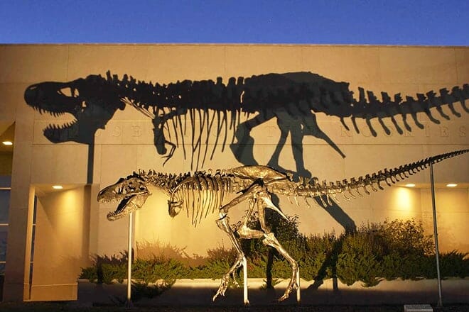 museum of the rockies