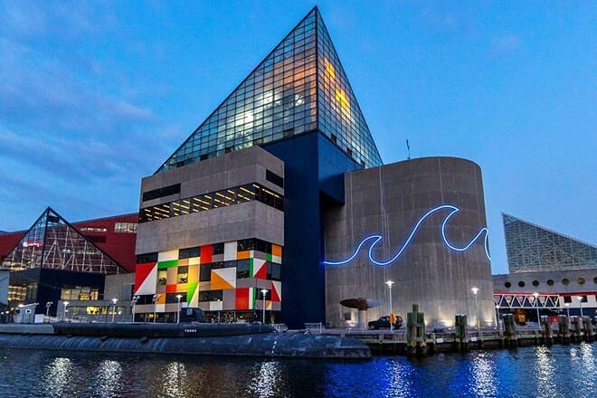 national aquarium &mdash; baltimore