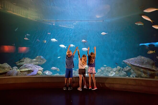 national mississippi river museum and aquarium &mdash; dubuque