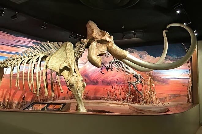 nevada state museum