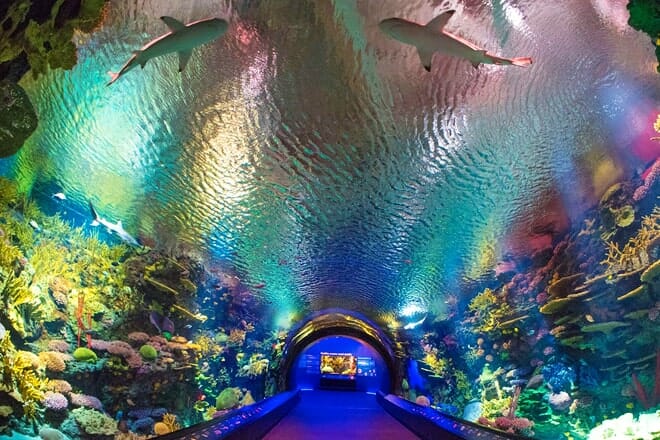 new york aquarium