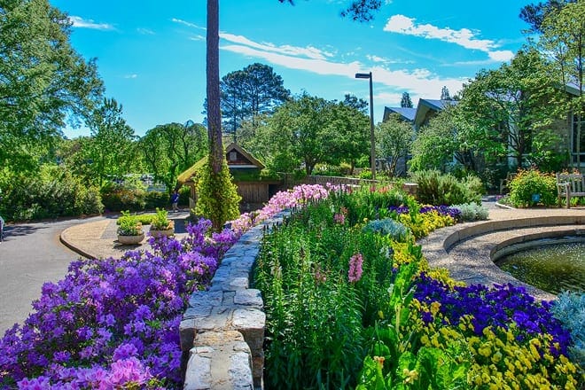 norfolk botanical garden