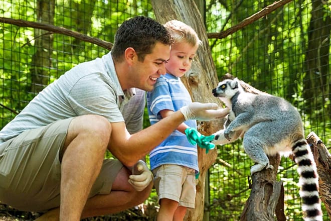 oglebay good zoo &mdash; wheeling