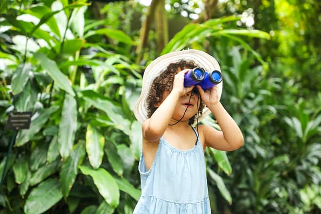 olbrich botanical gardens