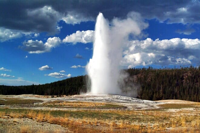 old faithful