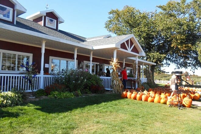 orchard country market