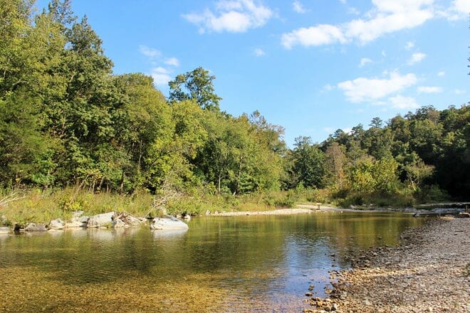ozark national forest &mdash; russellville