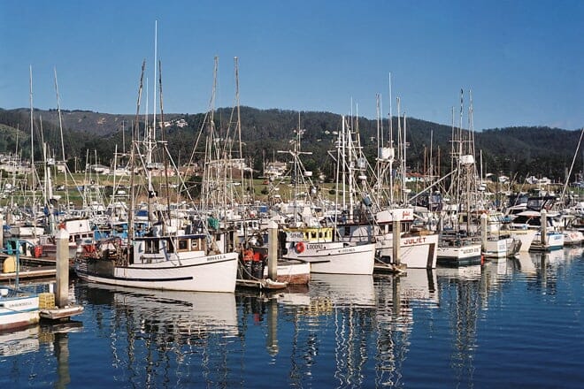 pillar point harbor