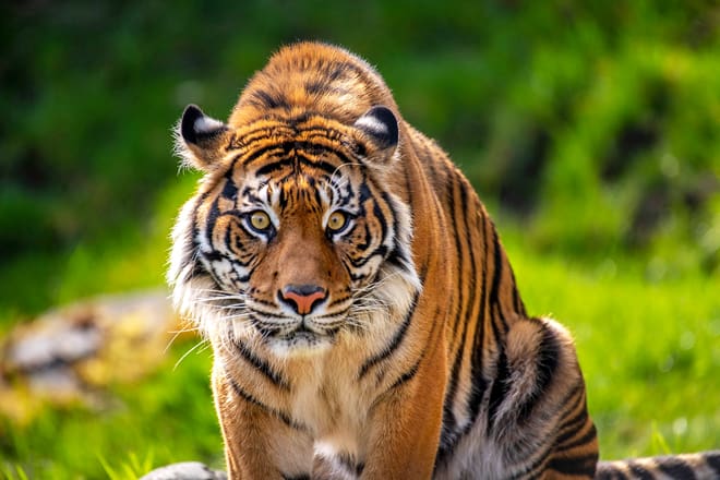 point defiance zoo aquarium