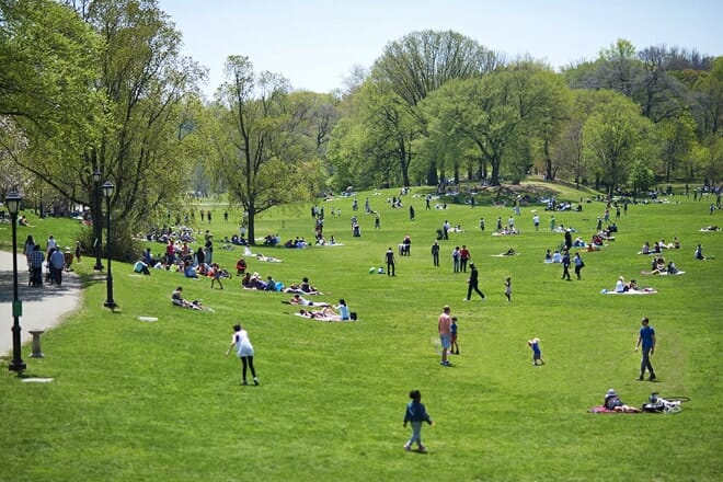 prospect park