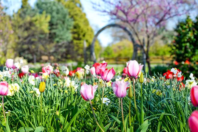 queens botanical garden &mdash; flushing