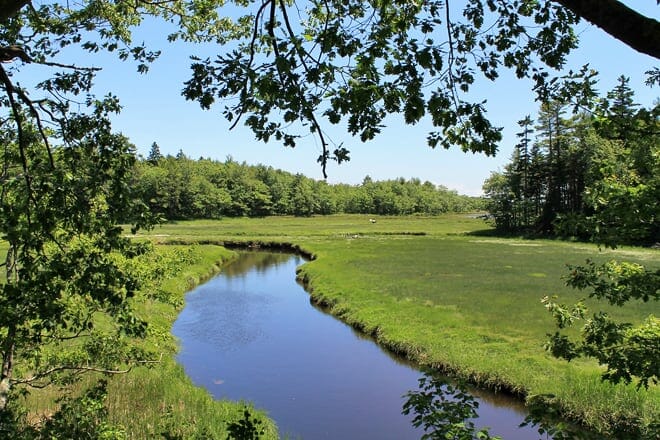 rachel carson reserve