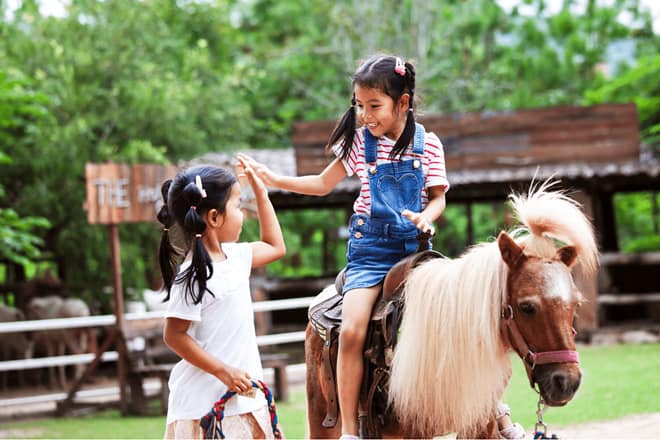 riverman trail rides