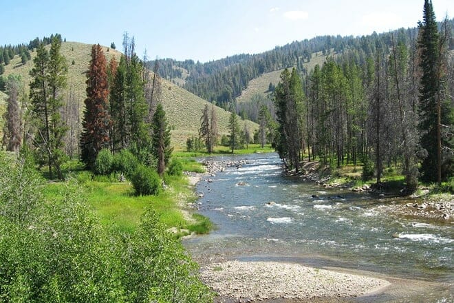 salmon river — salmon