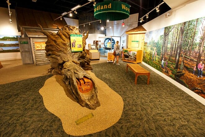 sandy creek nature center