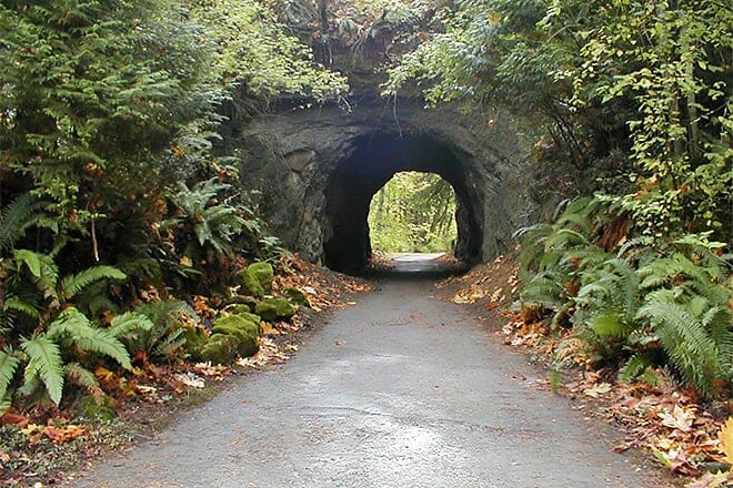 sehome hill arboretum