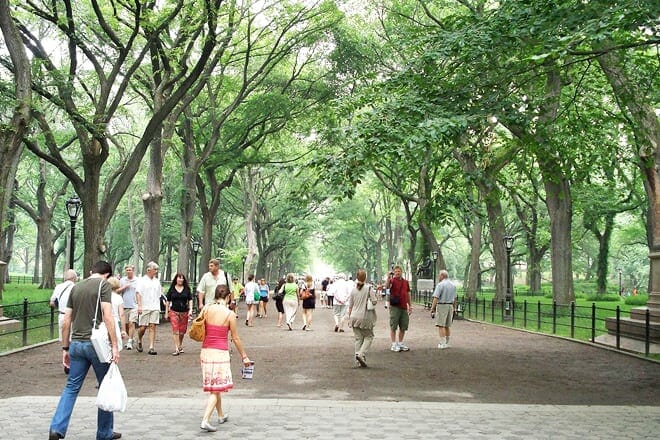 Self Guided Walking Tour