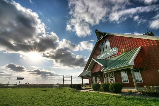 shryocks callaway farms