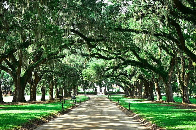 south carolina plantation gardens