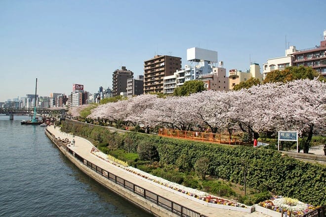 sumida park &mdash; taito city