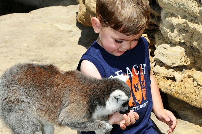 tanganyika wildlife park