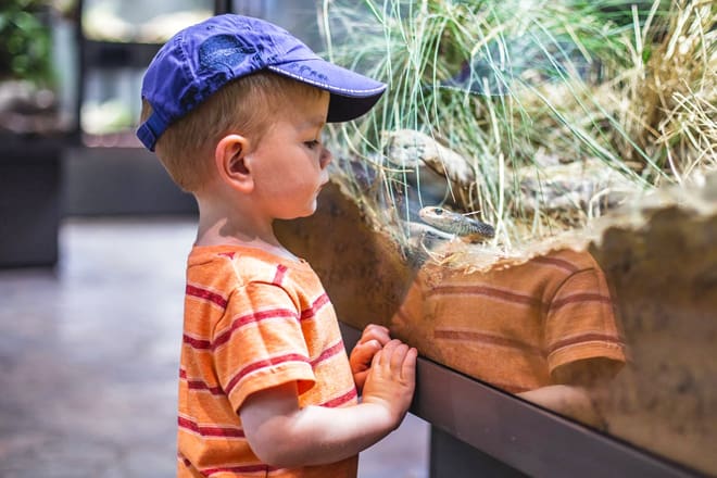 toledo zoo & aquarium