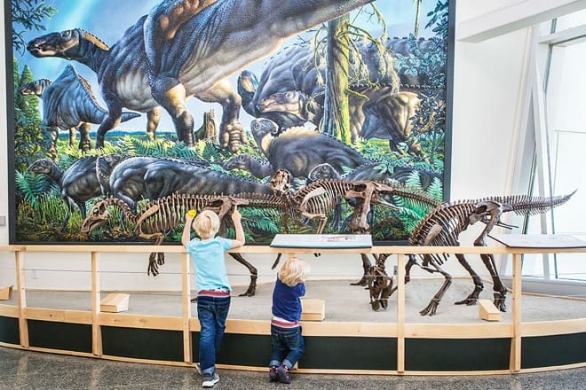 university of alaska museum of the north