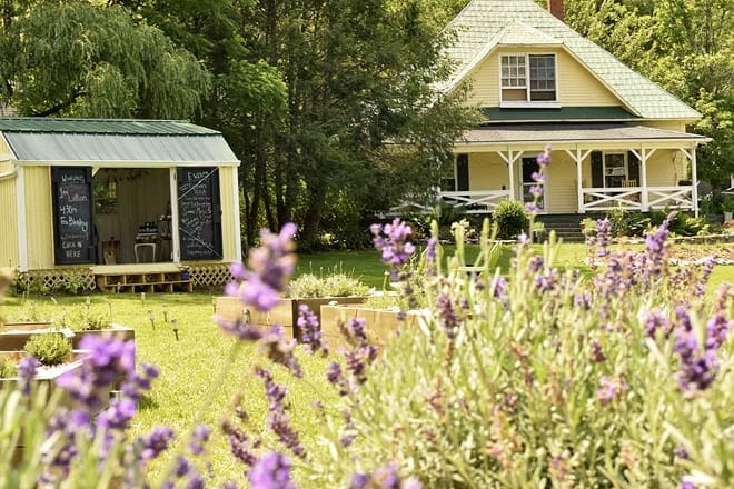 valle crucis lavender house