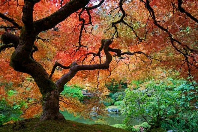 washington park &mdash; portland