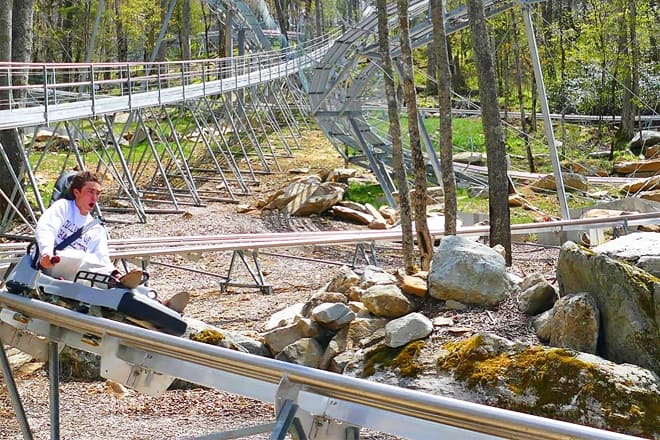 wilderness run alpine coaster