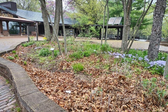 wildlife prairie park