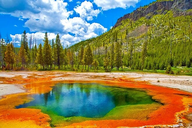 yellowstone national park