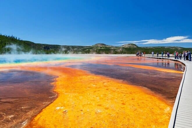 yellowstone safari co.