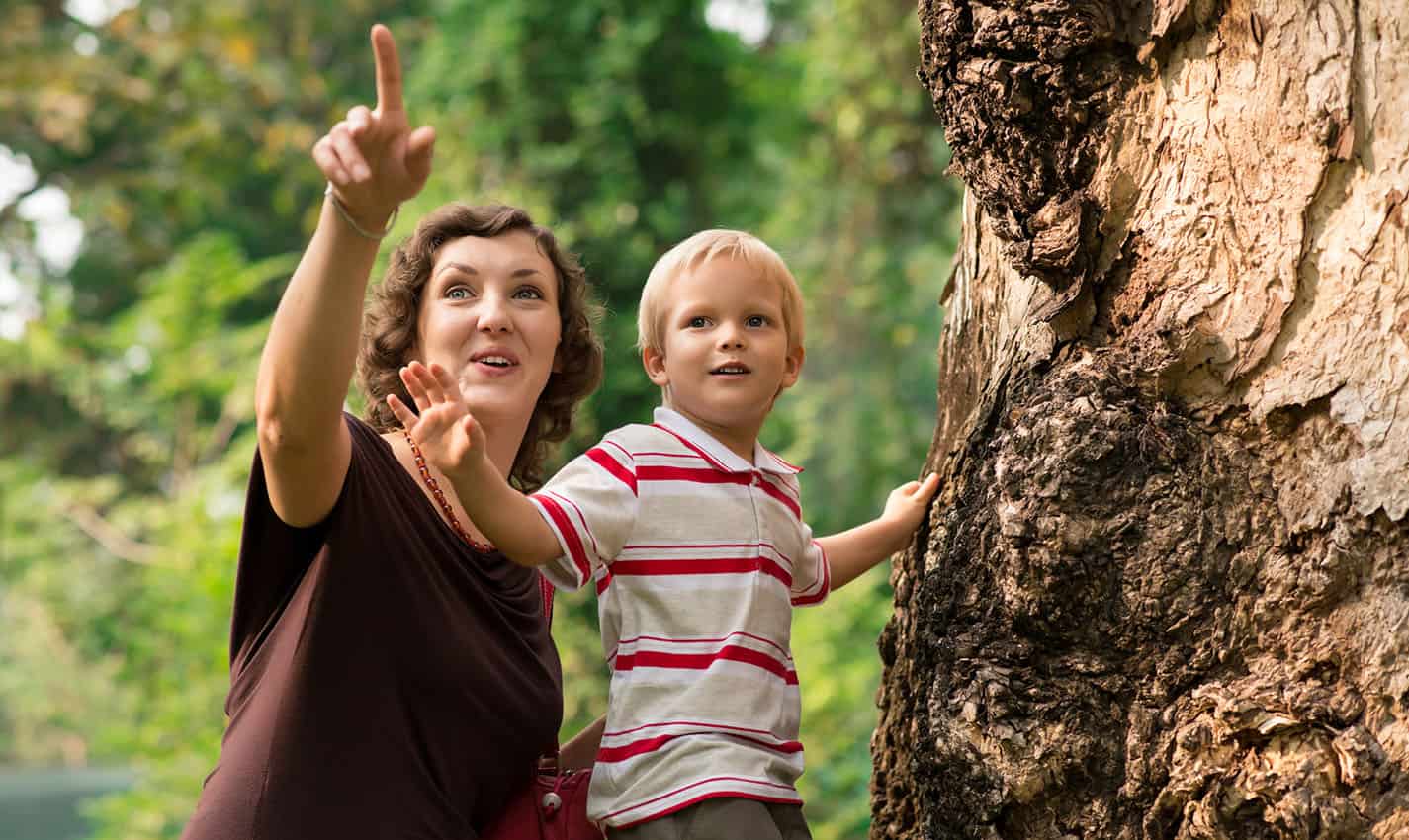 fun things to do in montgomery with kids