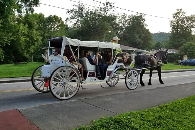 alpine carriage company