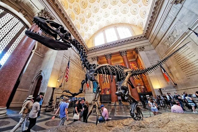 american museum of natural history &mdash; new york city