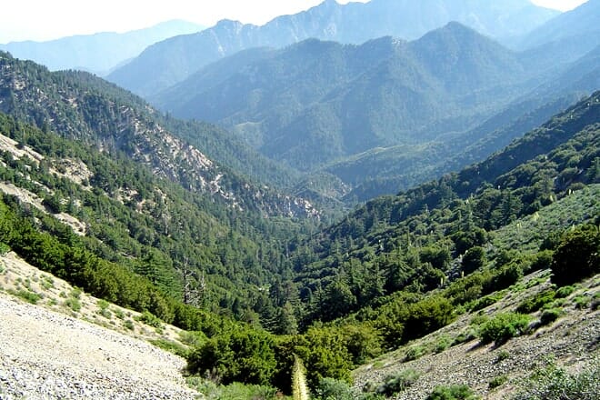 angeles national forest