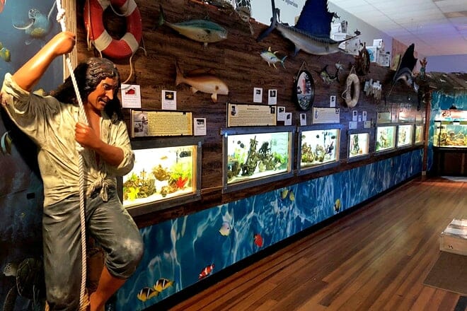 aquarium & shark lab by team ecco