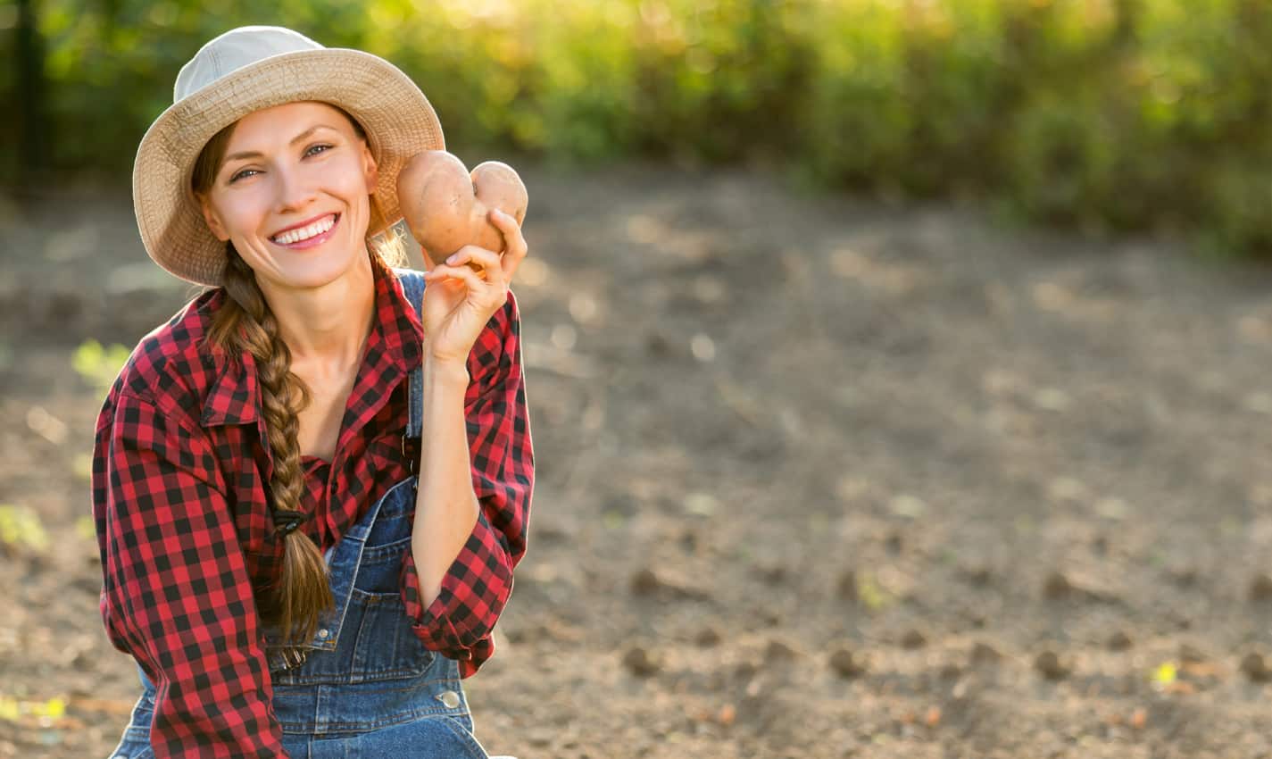 best things to do in aurora, il