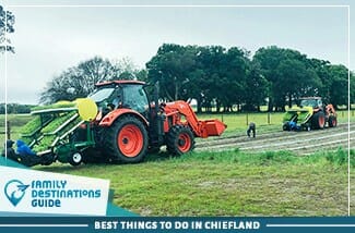 best things to do in chiefland